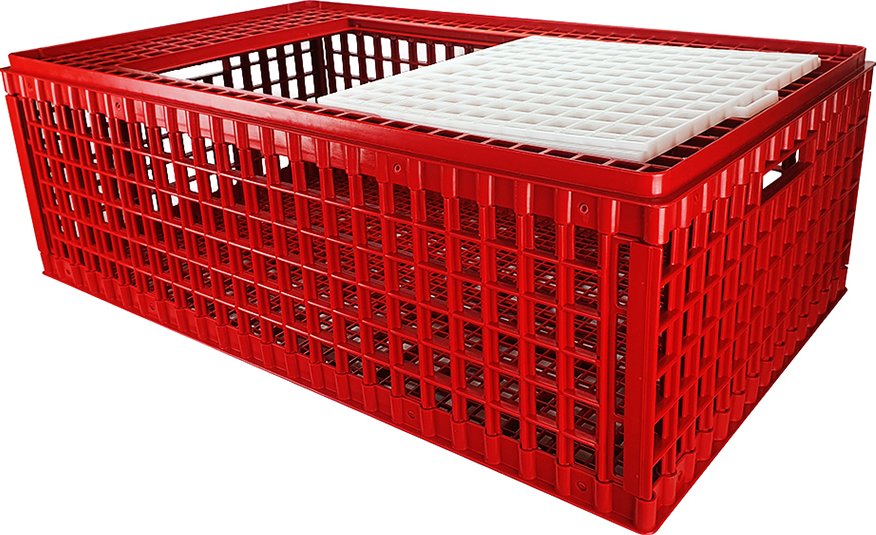Arion Fasoli Crate Mod B1 přepravní box na živou drůbež 95,5 x 57 x 32 ...