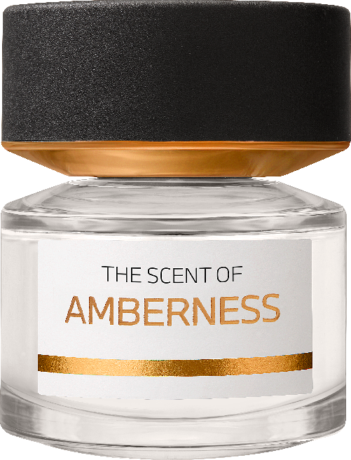 BMW Amberness EDP 50 ml od 1 890 Kč - Zbozi.cz