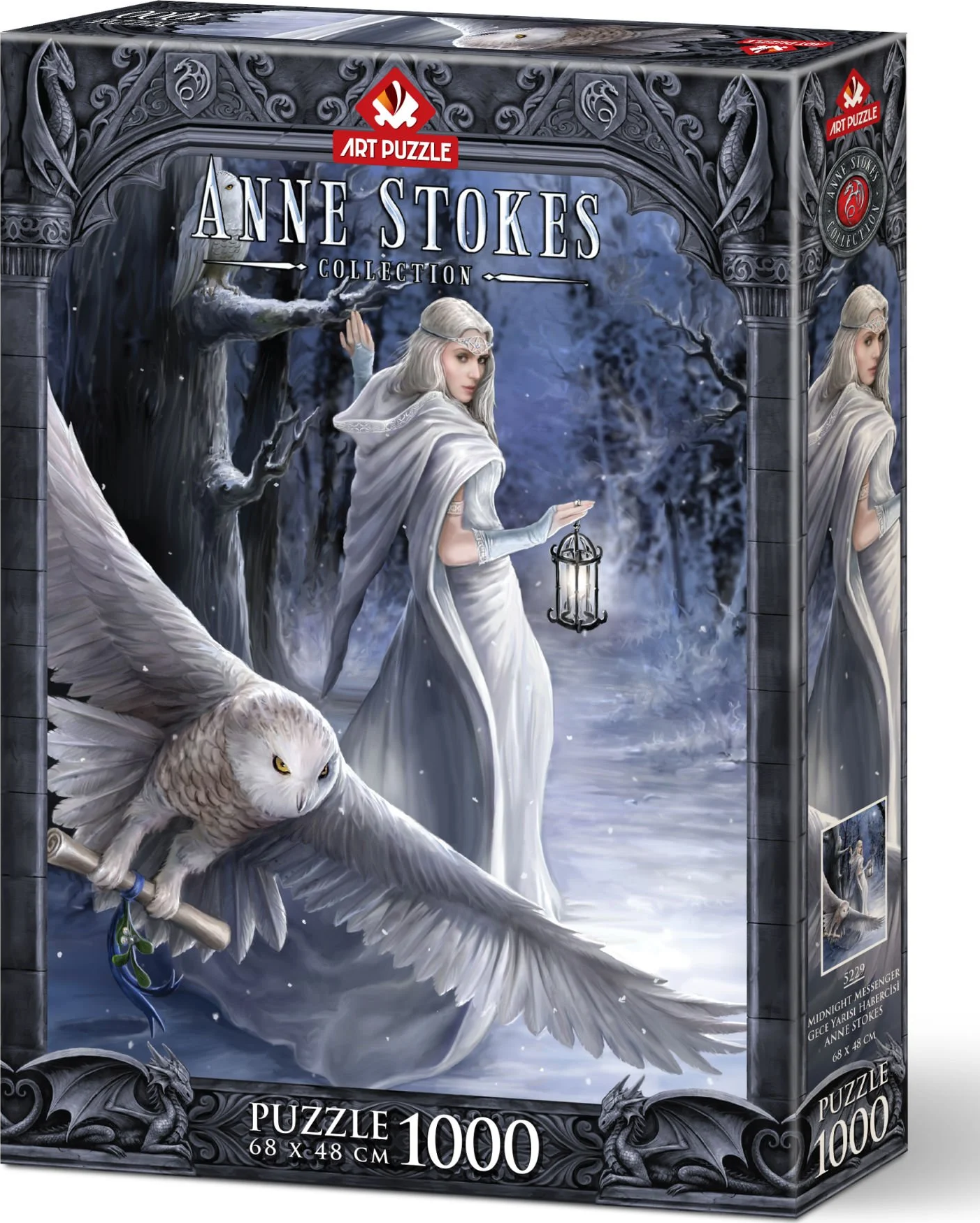 Art Puzzle Anne Stokes Půlnoční posel 1000 dílků od 256 Kč - Zbozi.cz