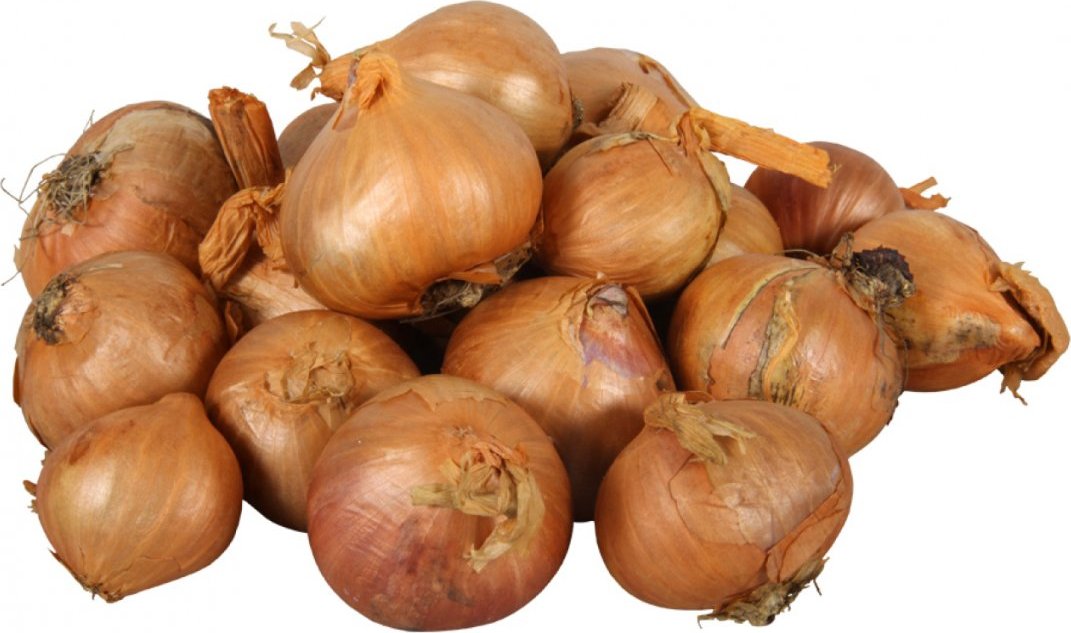 Nohel Garden Cibule šalotka Red Sun 22-47 mm 10 kg - Zbozi.cz