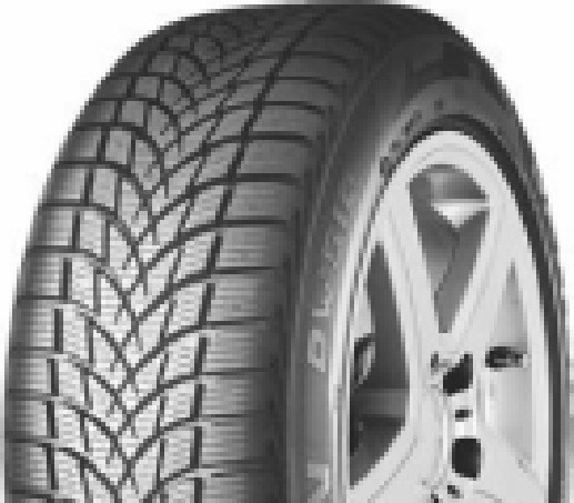 Dayton DW510 195 /65 R 15 91 H - Zbozi.cz